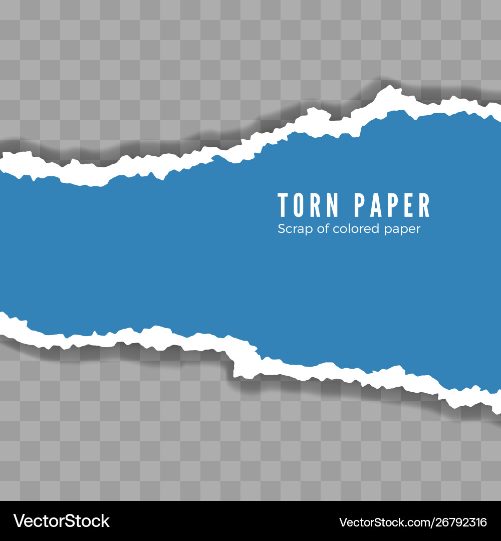 Scrap torn white paper with shadow damaged Vector Image