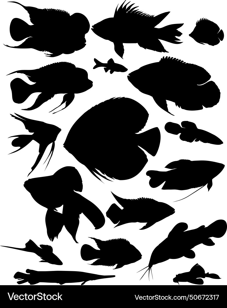 Aquarium fish Royalty Free Vector Image - VectorStock