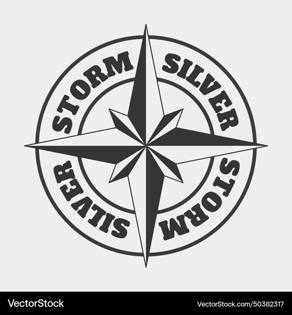 Compass race logo flat Royalty Free Vector Image