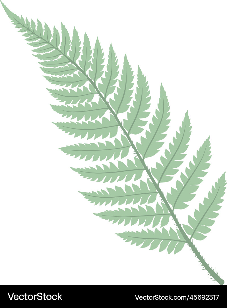Green Fern Frond Silhouette Royalty Free Vector Image