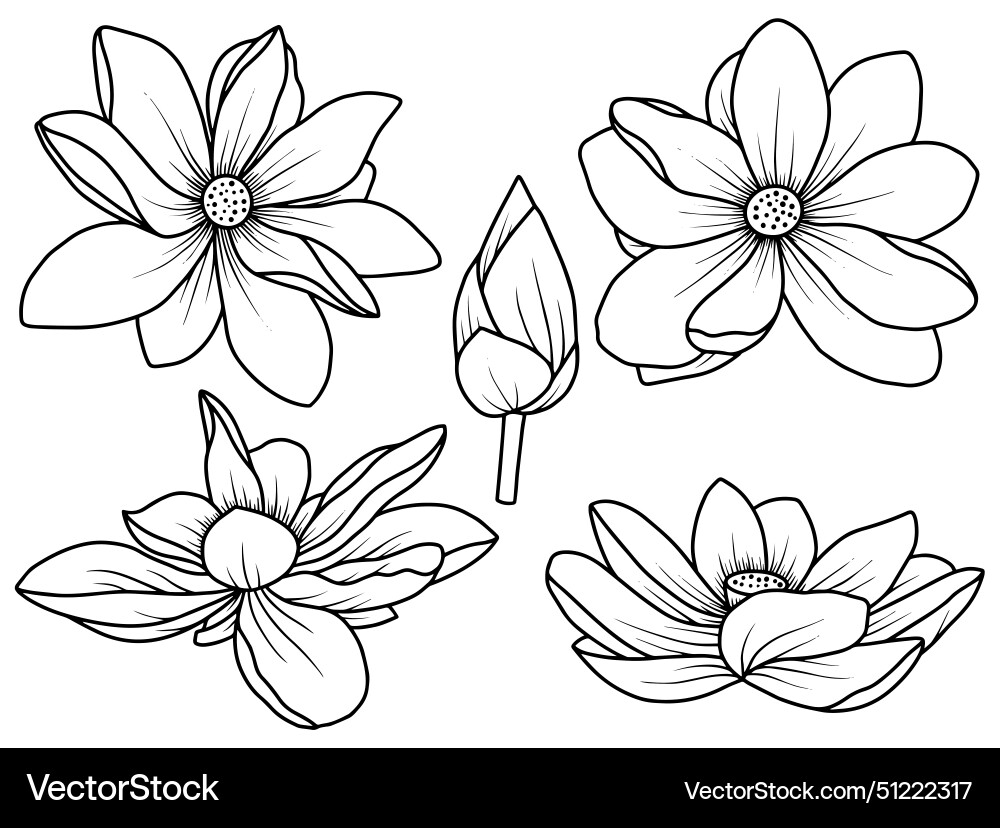 Hand drawn flower line art Royalty Free Vector Image