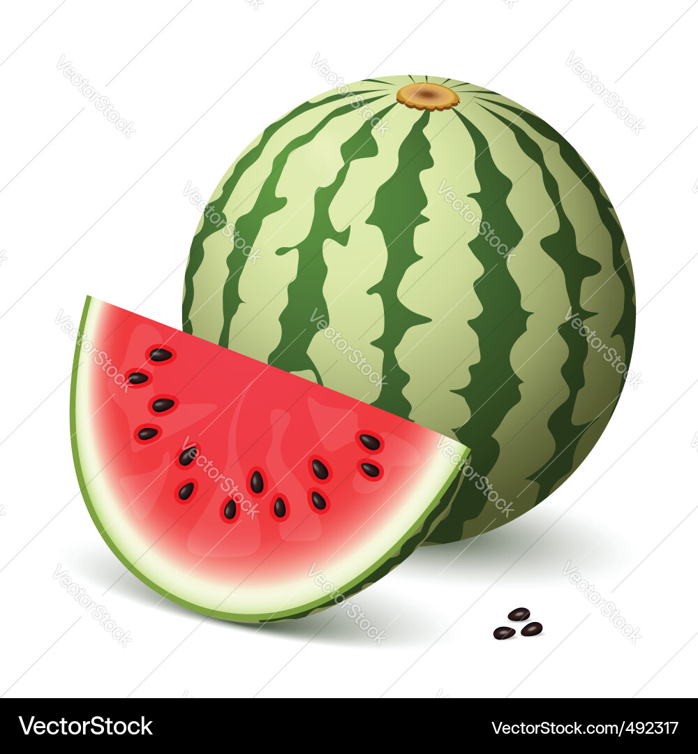 Watermelon Royalty Free Vector Image - VectorStock