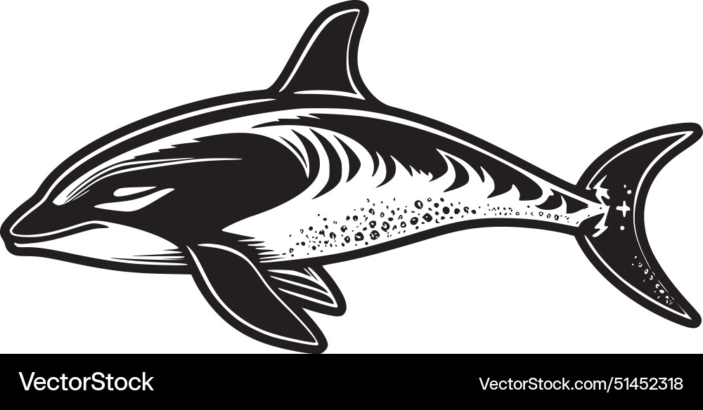 Orca - black and white Royalty Free Vector Image