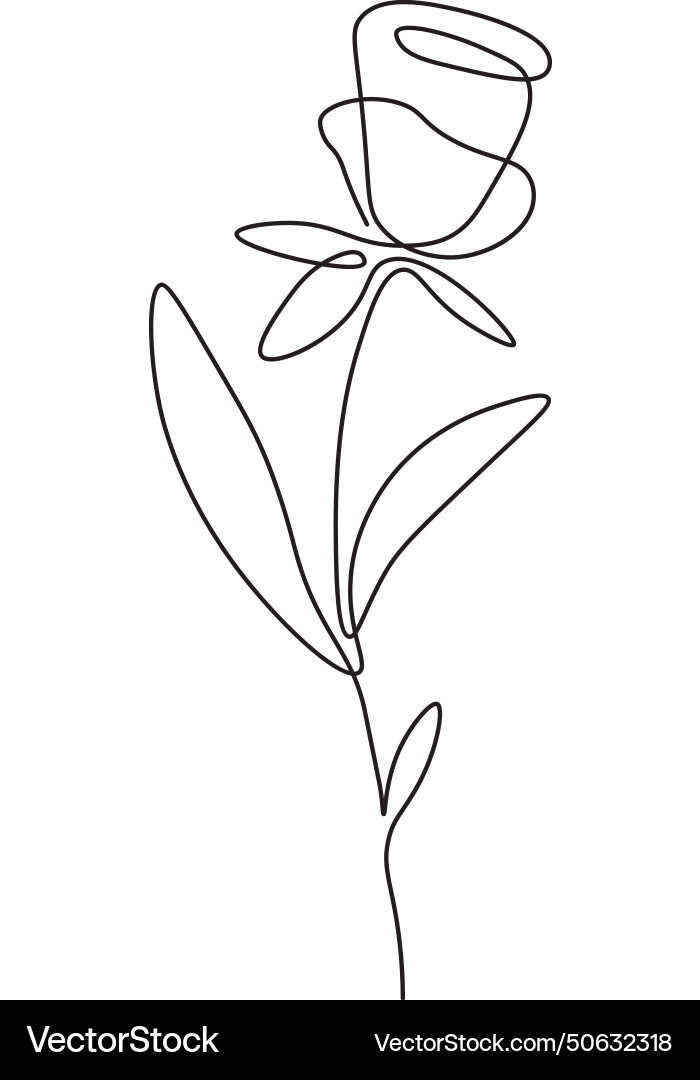 Rose flower outline Royalty Free Vector Image - VectorStock