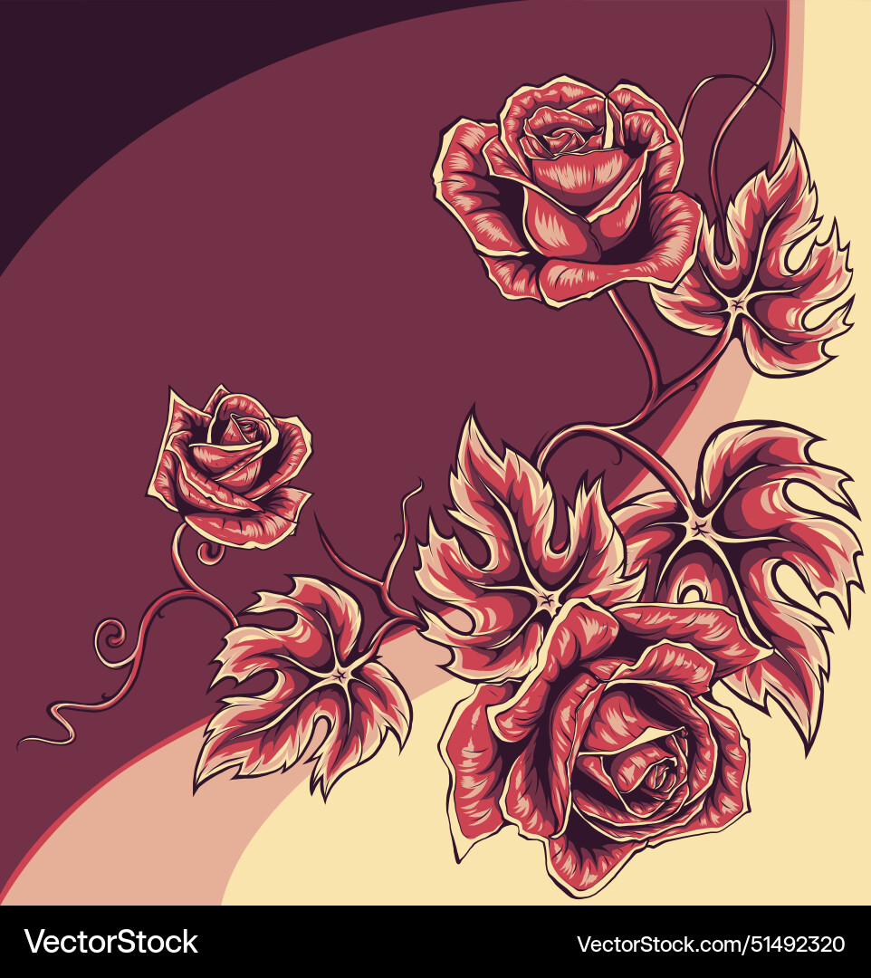 Beautiful roses isolated Royalty Free Vector Image