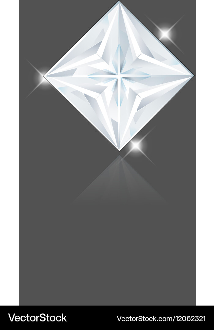 Diamond princess Royalty Free Vector Image - VectorStock