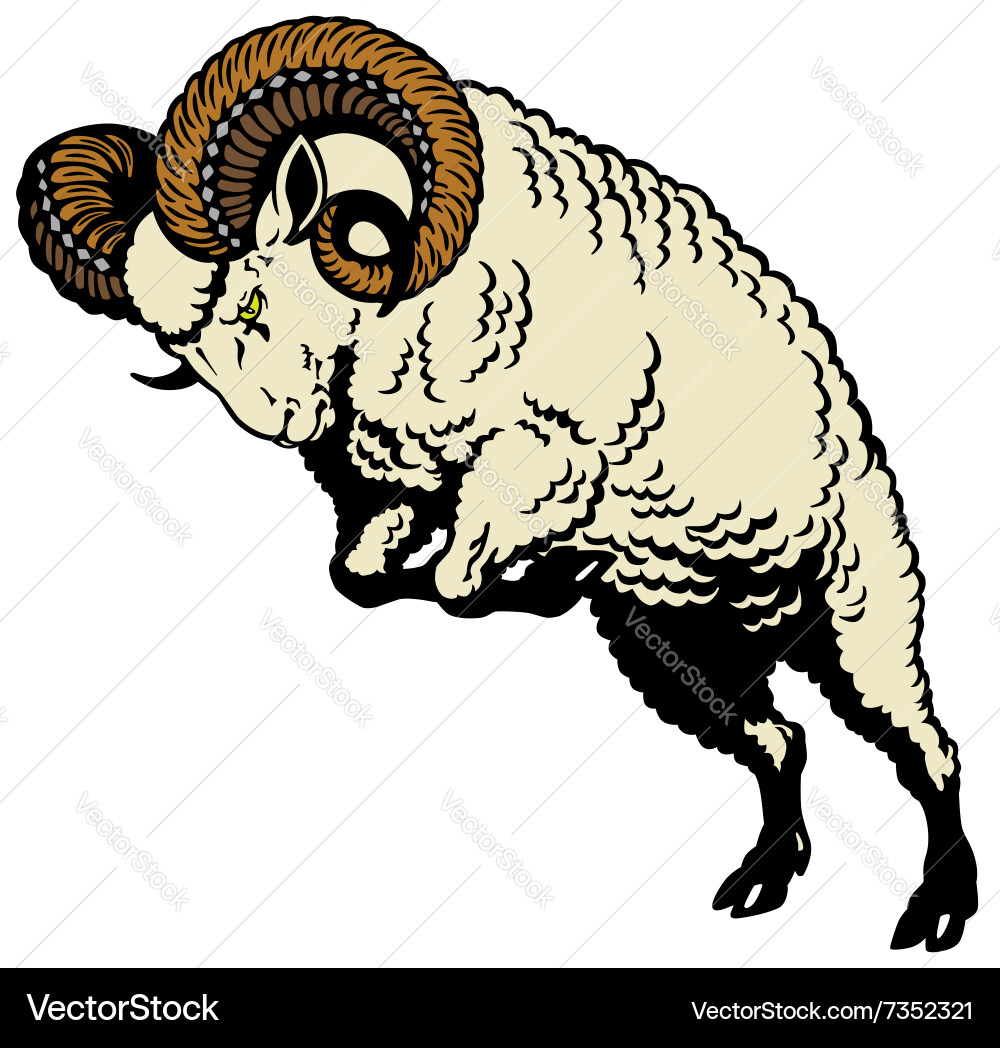 Ram sheep Royalty Free Vector Image - VectorStock