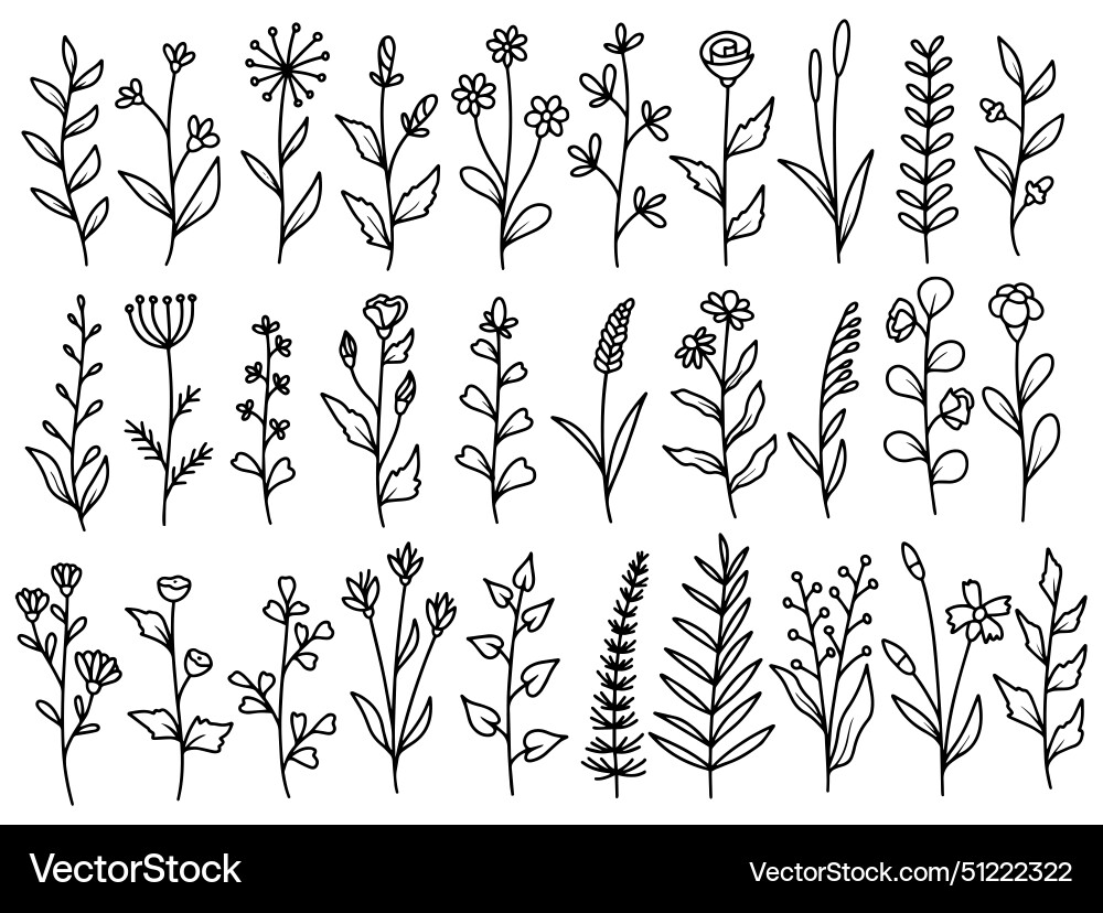 Hand drawn flower sketch line art Royalty Free Vector Image