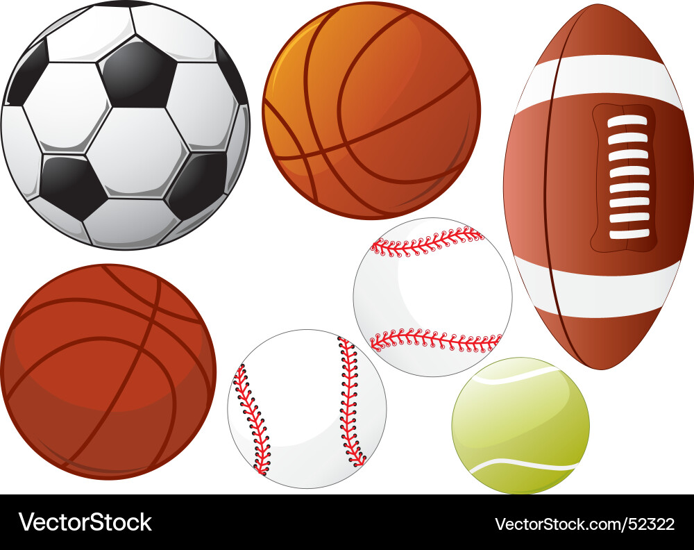 Sport equipment Royalty Free Vector Image - VectorStock