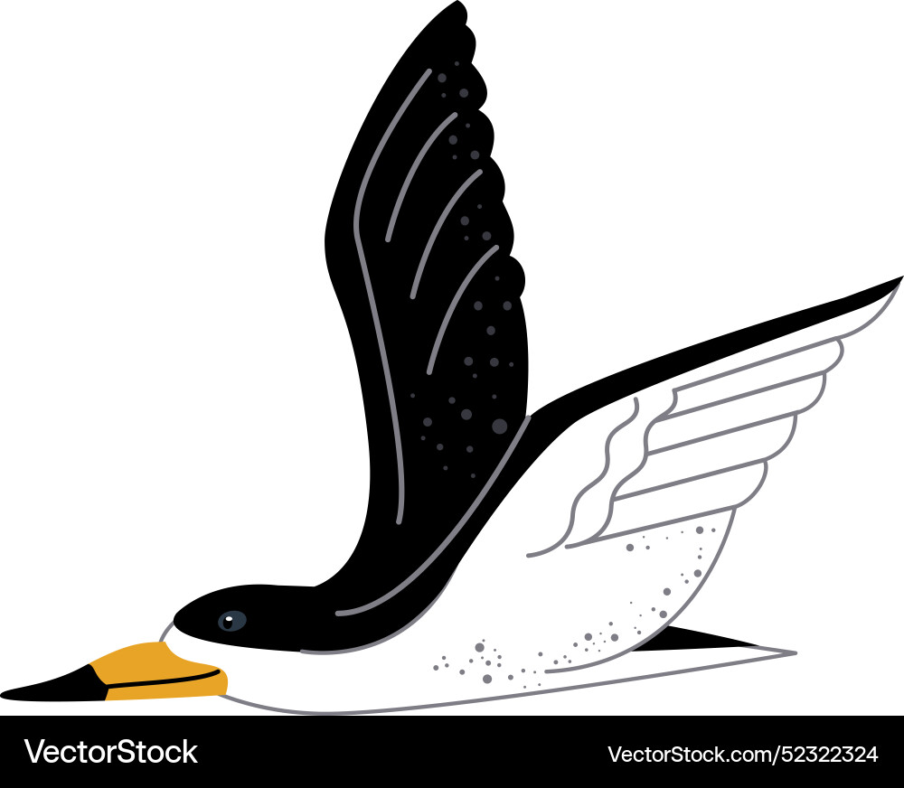 Beach seagull bird Royalty Free Vector Image - VectorStock