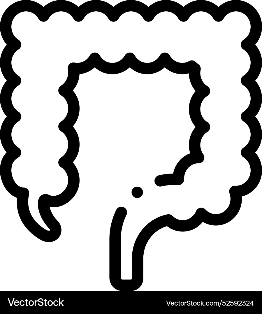 Colon icon thin linear style design isolated Vector Image