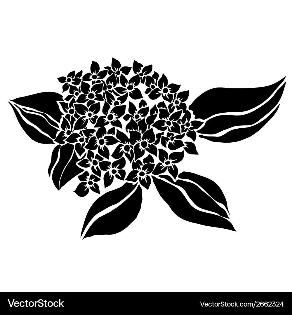 Decorative hydrangea Royalty Free Vector Image