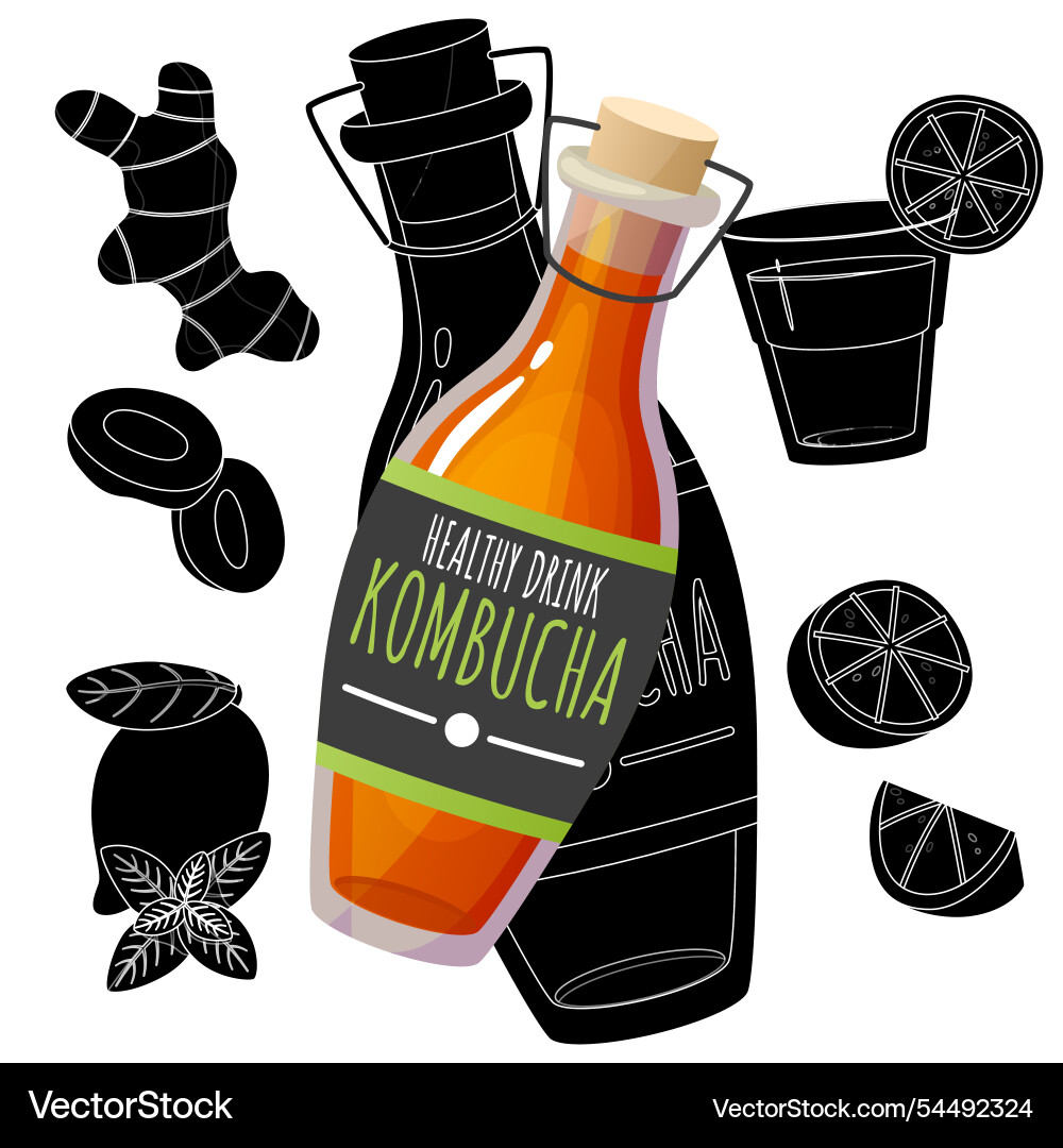 Kombucha bottle fermented tea antioxidant Vector Image