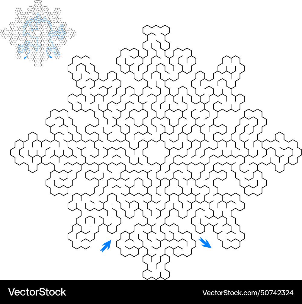 Labyrinth inside the snowflake shape creative Vector Image