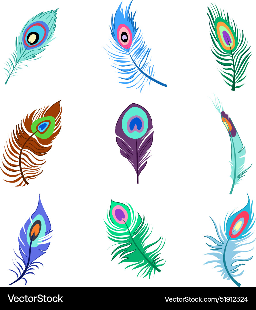 Animated Peacock Feather Images
