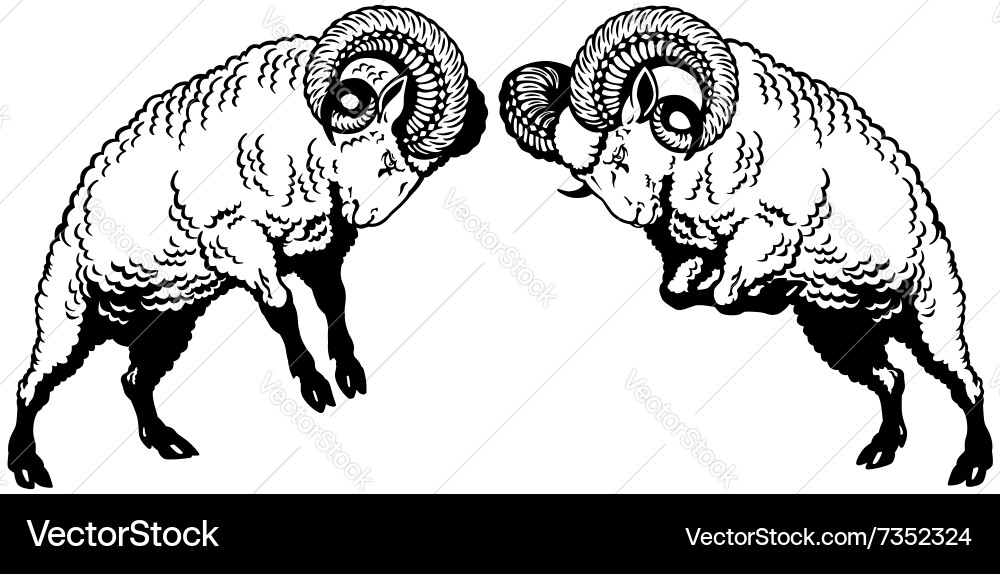 Two fighting rams black white Royalty Free Vector Image