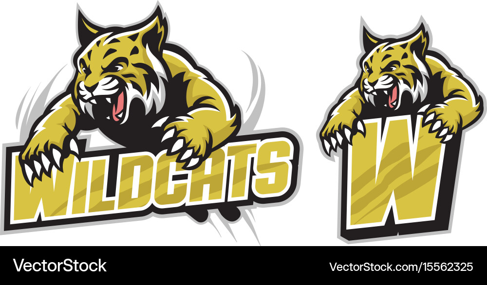 Jumping wildcat Royalty Free Vector Image - VectorStock