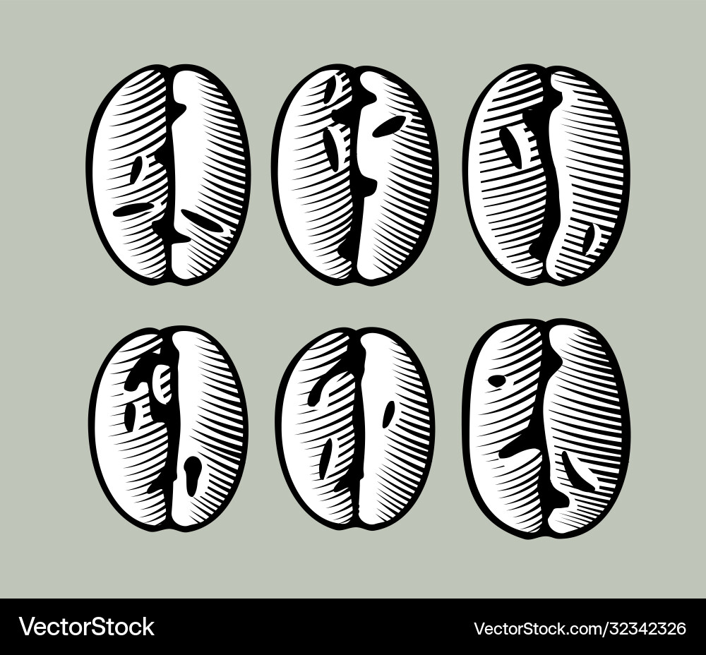 Coffee beans set Royalty Free Vector Image - VectorStock
