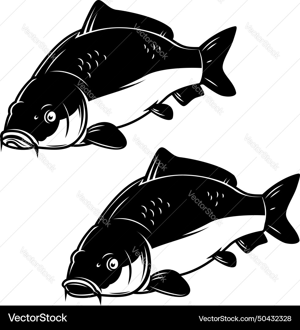 Carp fish in monochrome style isolated Royalty Free Vector