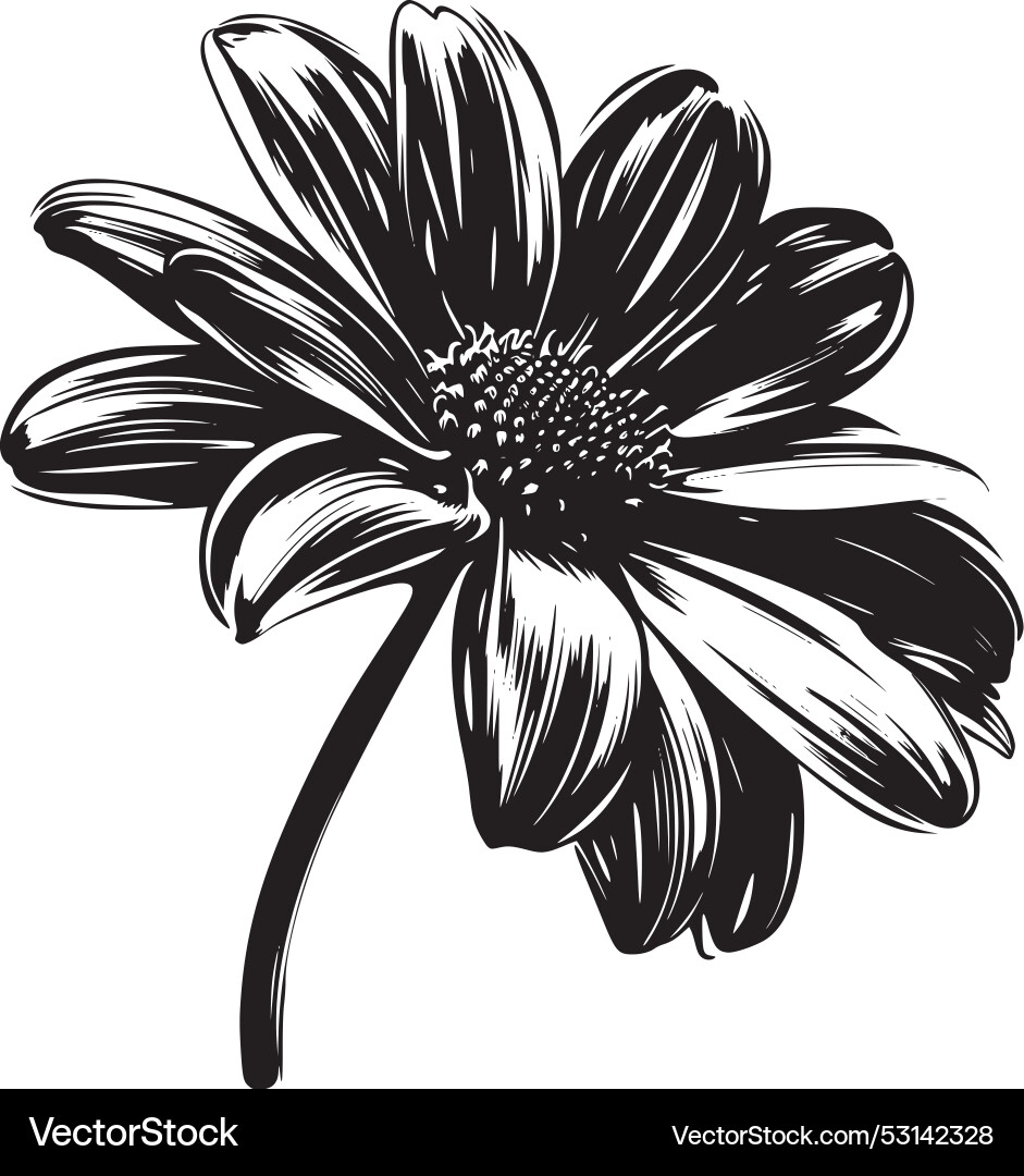 Flower Royalty Free Vector Image - VectorStock