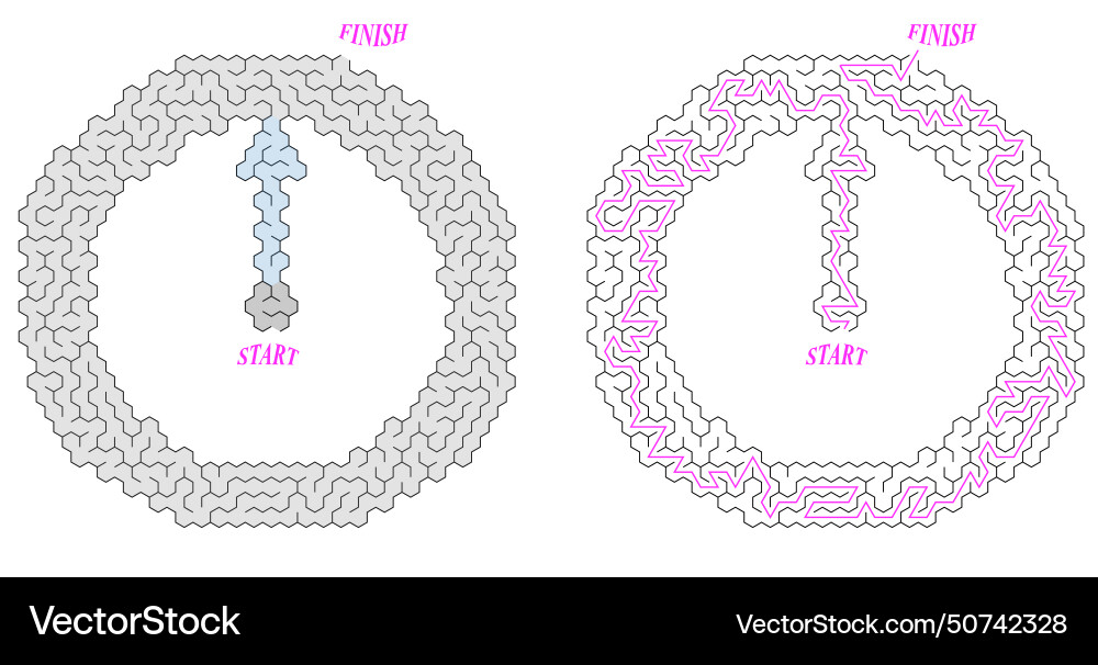 Maze inside a shape of the clock icon flat Vector Image