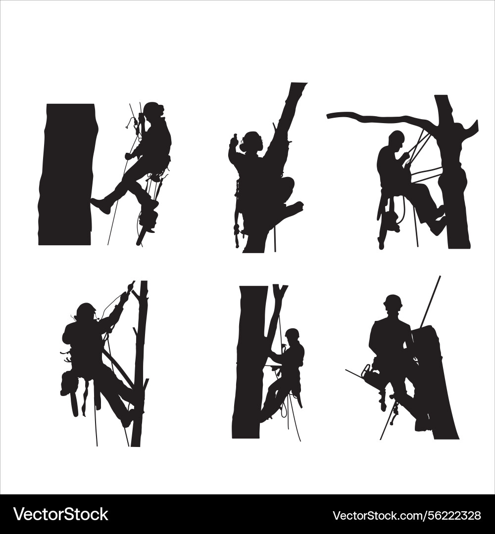 Tree services svg arborist climbin Royalty Free Vector Image