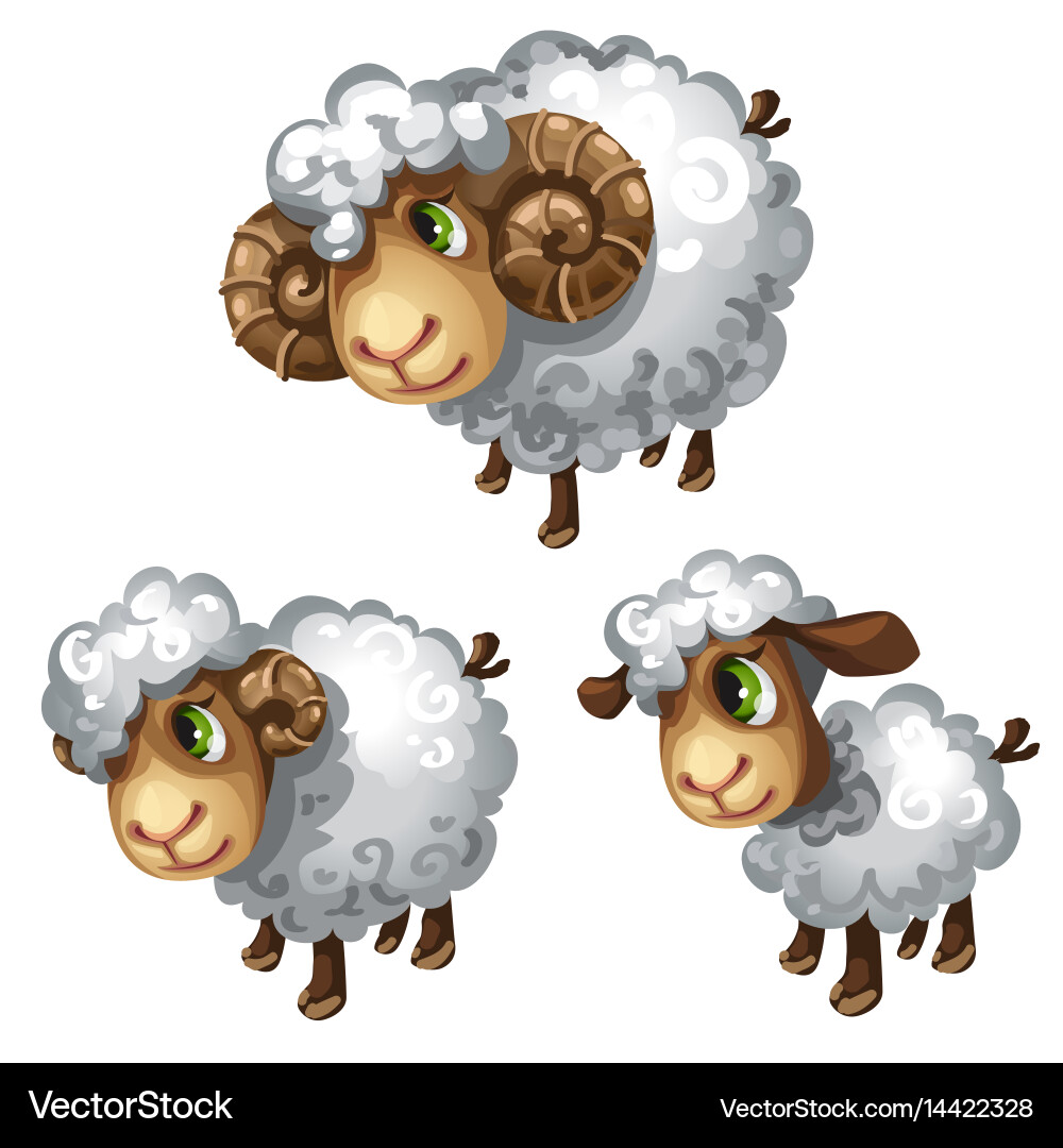 White sheep in different poses animal Royalty Free Vector
