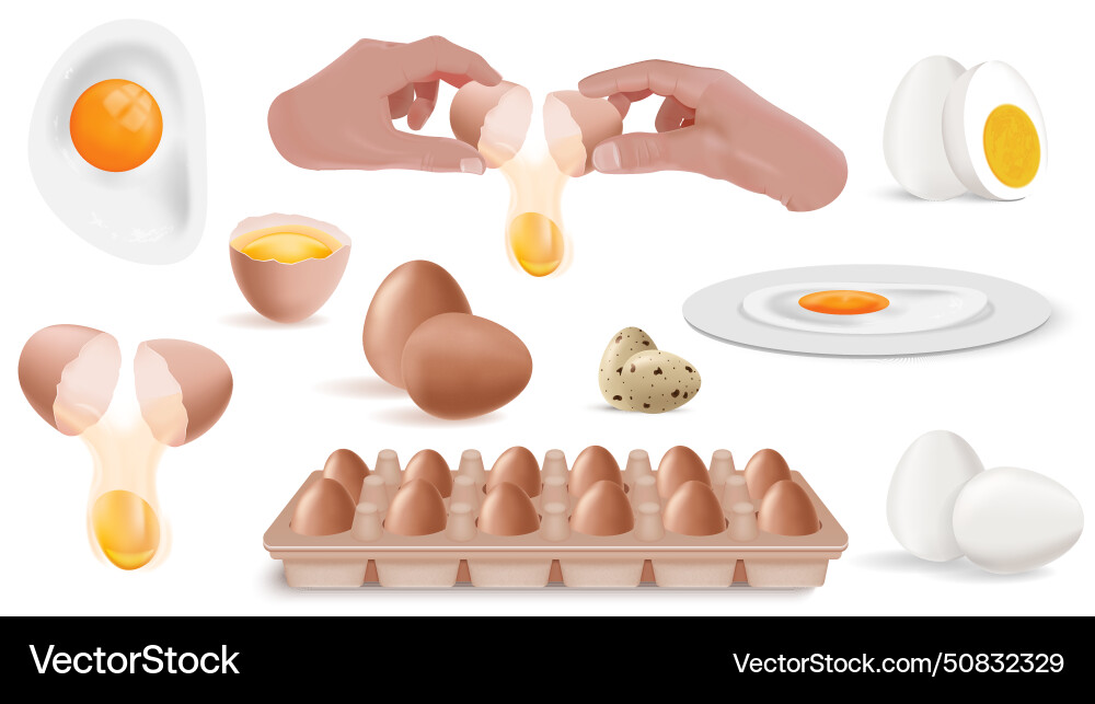 Eggs cook realistic icon set Royalty Free Vector Image
