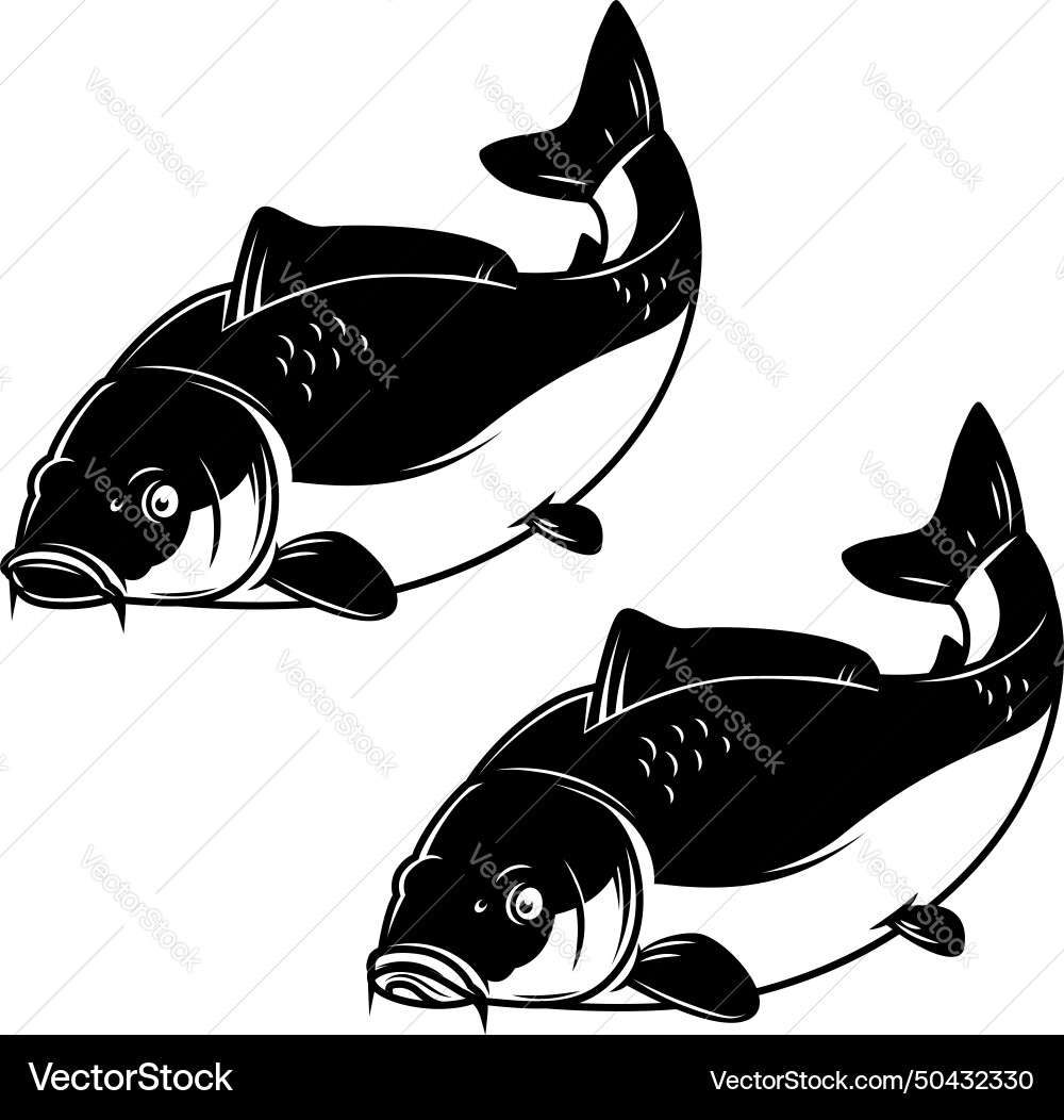 Carp fish in monochrome style isolated Royalty Free Vector