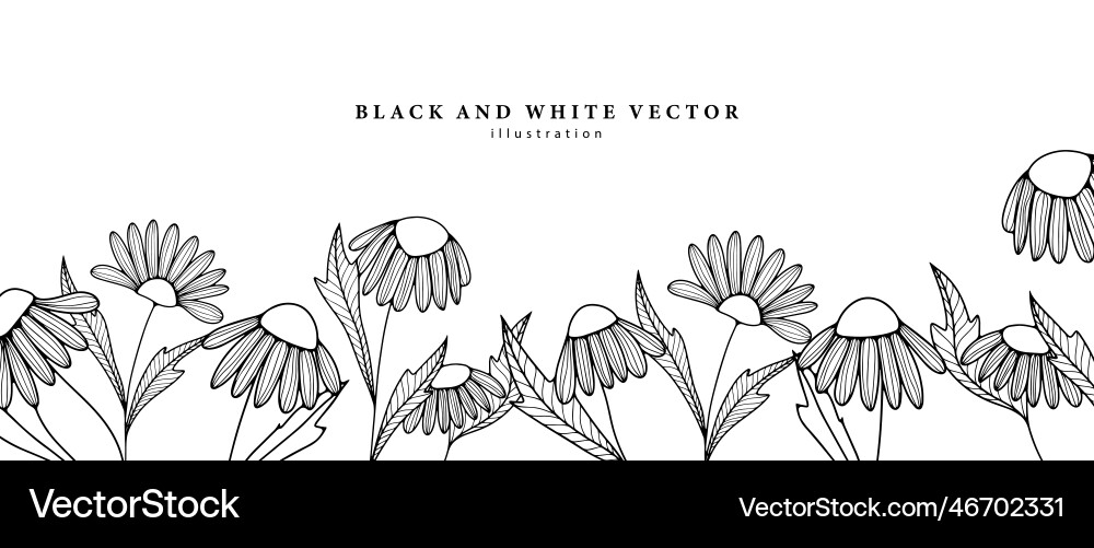 Floral with cute daisies Royalty Free Vector Image