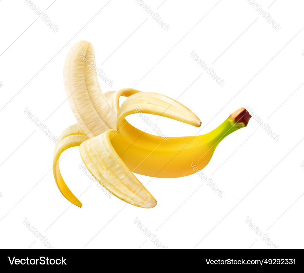 Realistic ripe banana whole fruit with open peel Vector Image