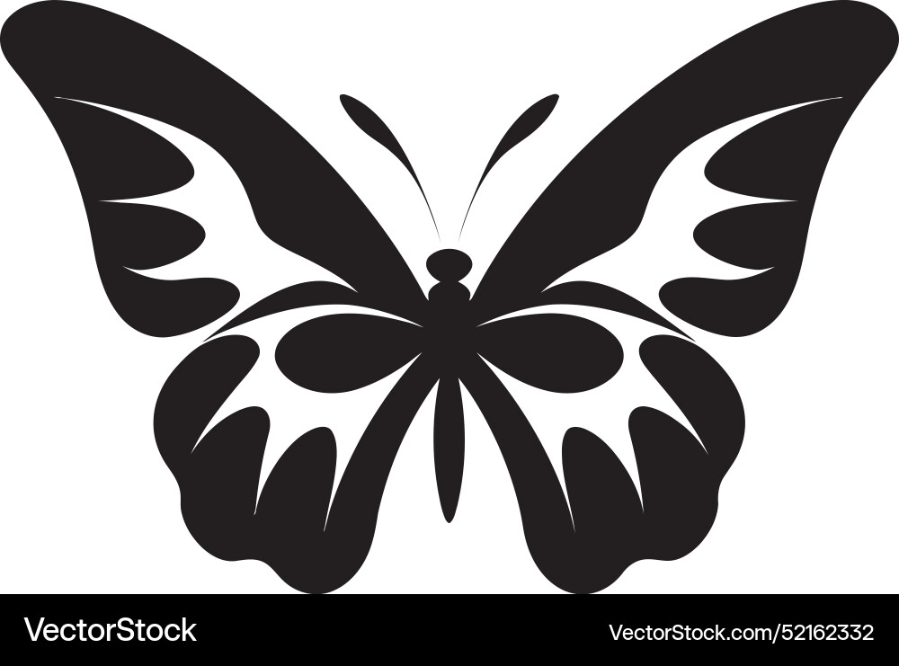 Butterfly life cycles around the world psyche Vector Image