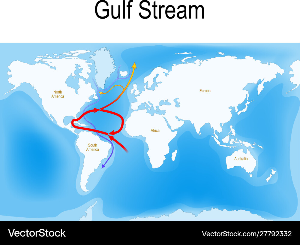 Gulf stream is a warm and swift atlantic Vector Image