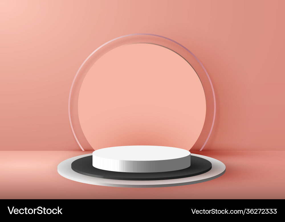 3d studio room empty product stand platform Vector Image