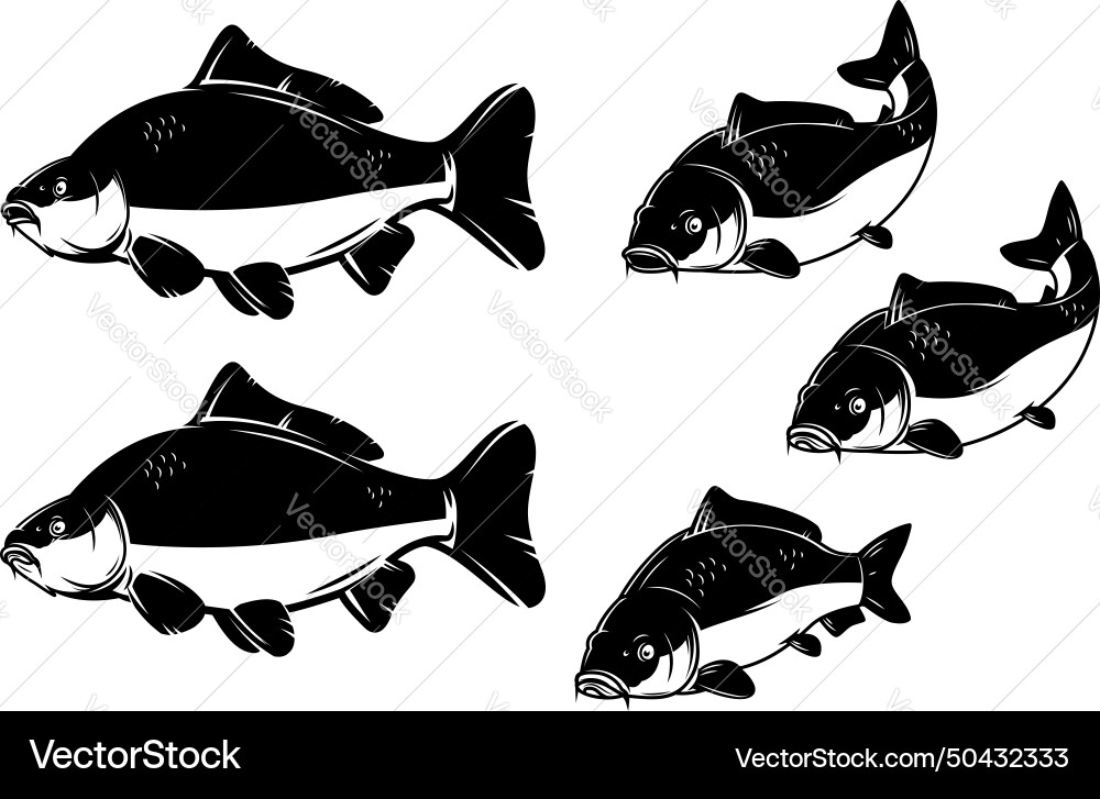 Carp fish in monochrome style isolated Royalty Free Vector