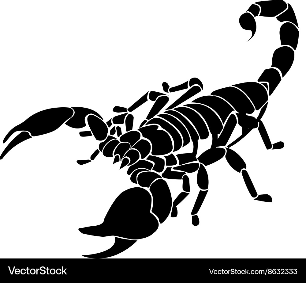 Scorpion Royalty Free Vector Image - VectorStock