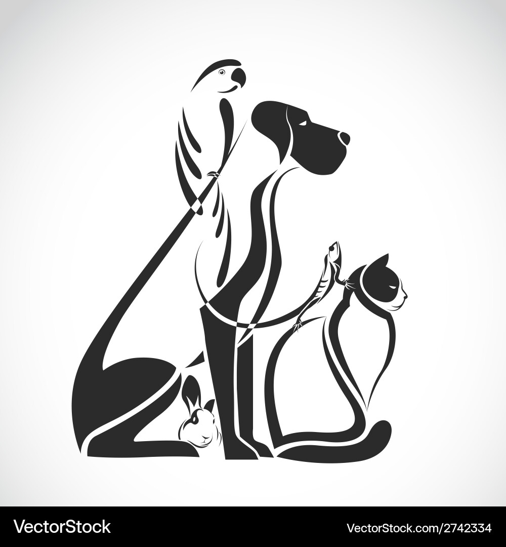 Collection of Pets - Animals Royalty Free Vector Image