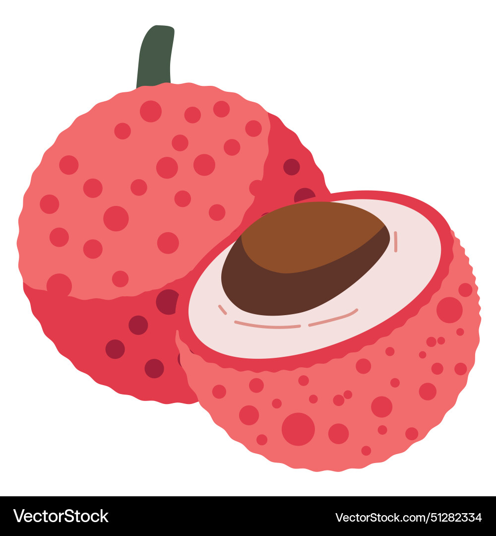 Lychee or leci fruit litchi Royalty Free Vector Image