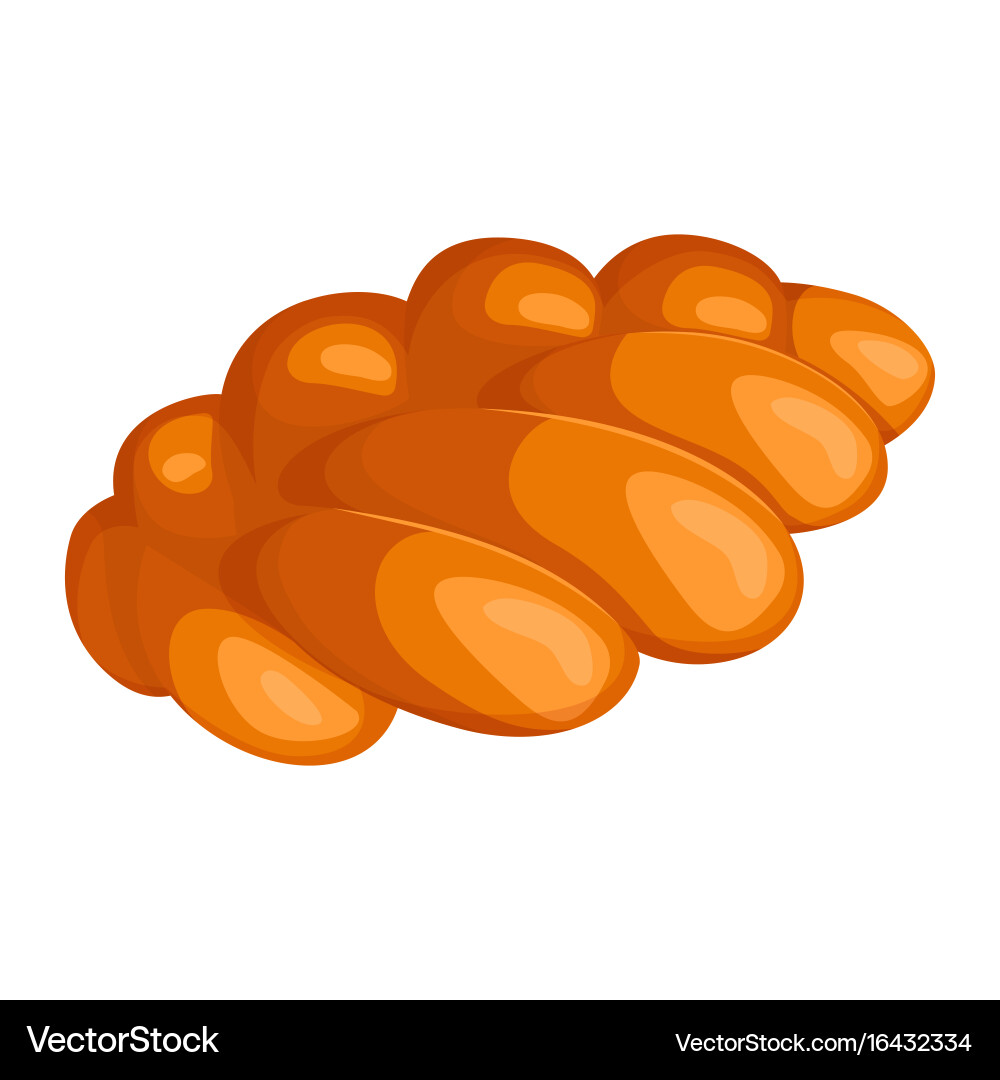 Realistic style isolated of braided Royalty Free Vector
