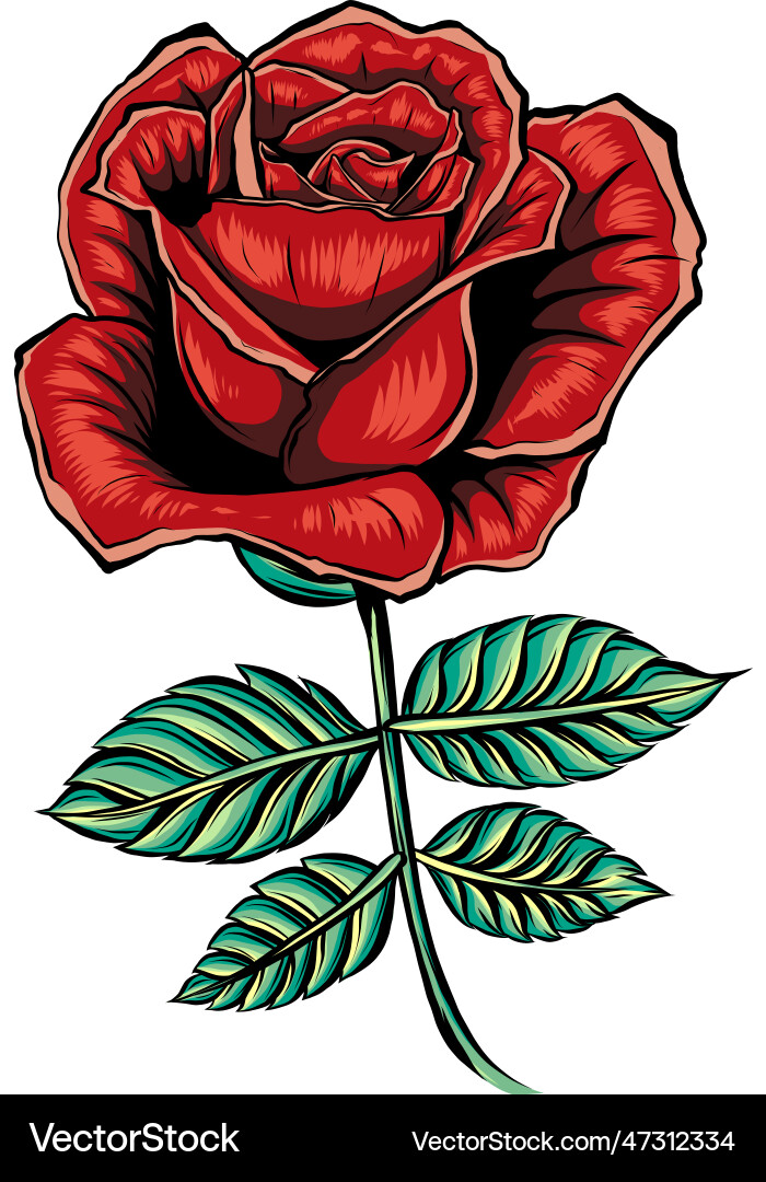 Rose flower with leaves Royalty Free Vector Image
