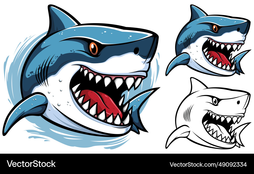 Shark portrait mascot Royalty Free Vector Image