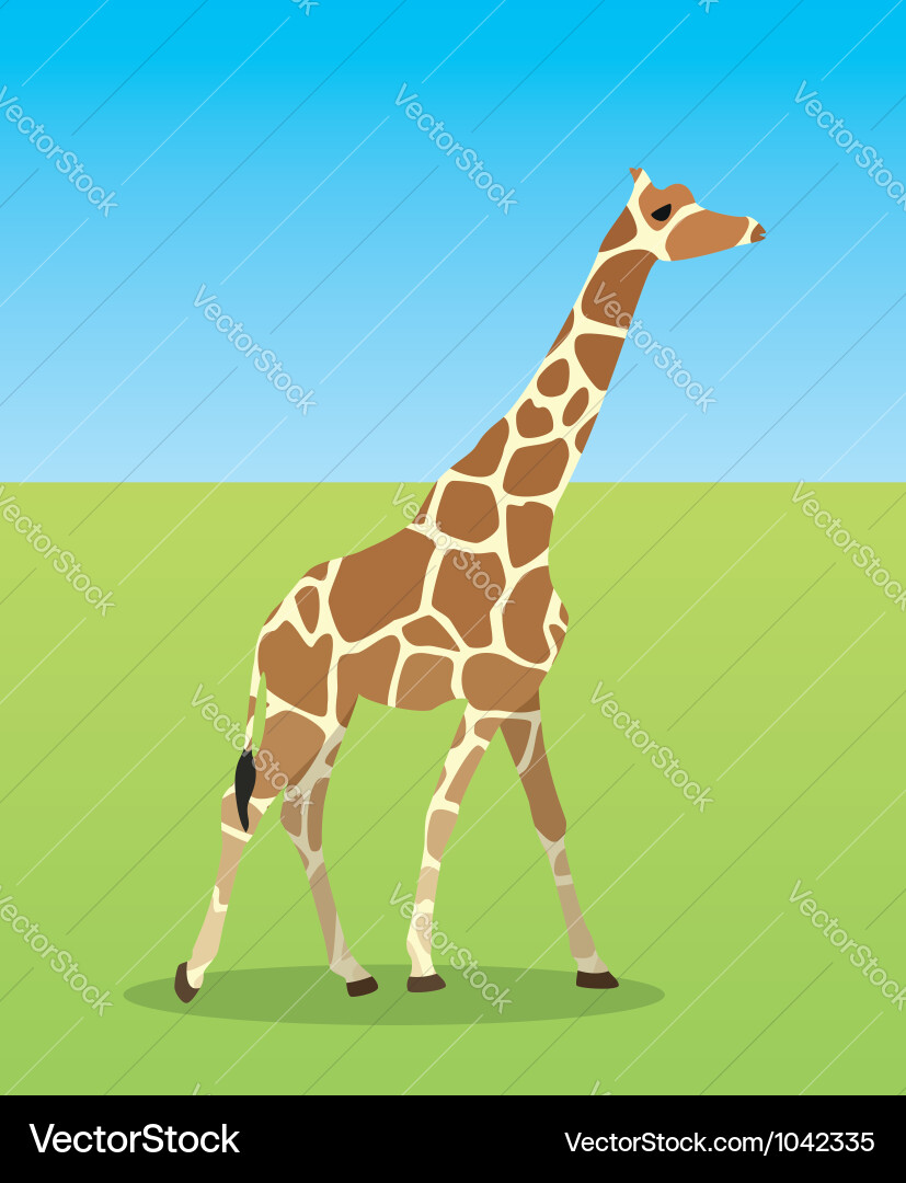 Giraffe Royalty Free Vector Image - VectorStock