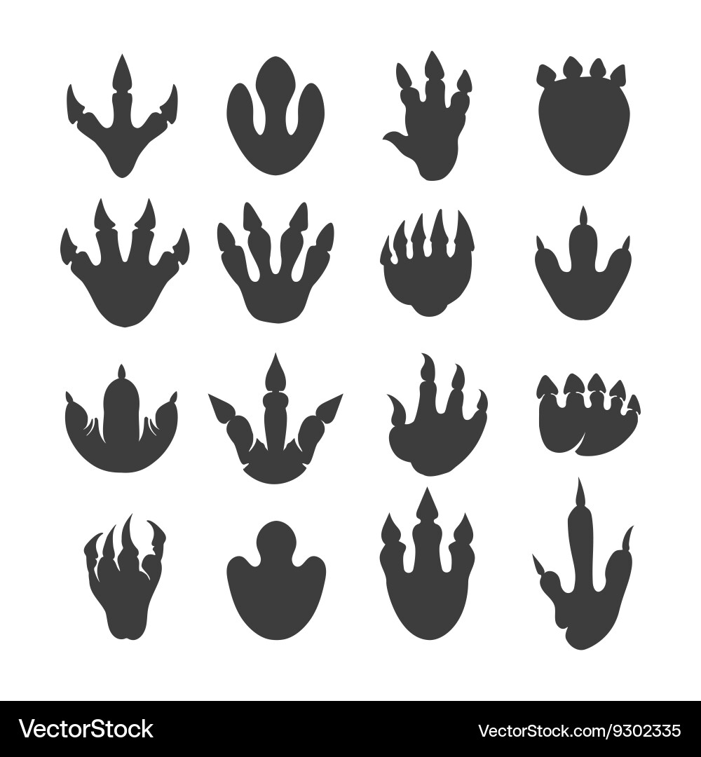 Dinosaur Footprint Pterodactyl Vector Images (over 240)