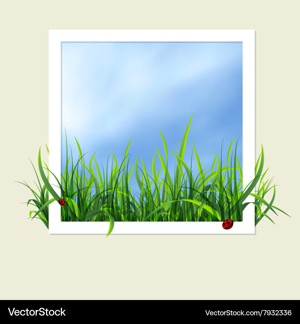 Window with grass Royalty Free Vector Image - VectorStock