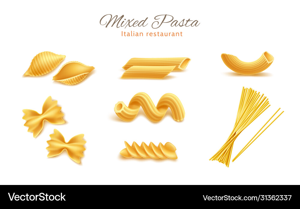 Realistic italian pasta spaghetti types set Vector Image