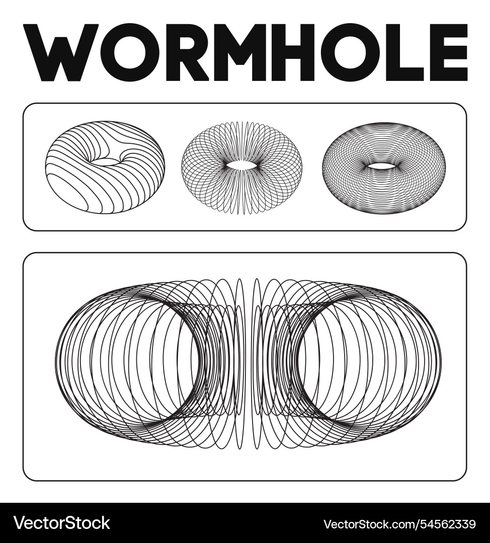 3d wormhole effect curved lines on a white Vector Image