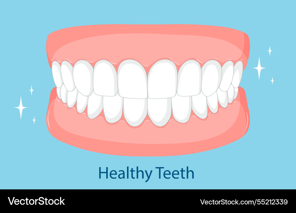 Clean white teeth with sparkles Royalty Free Vector Image