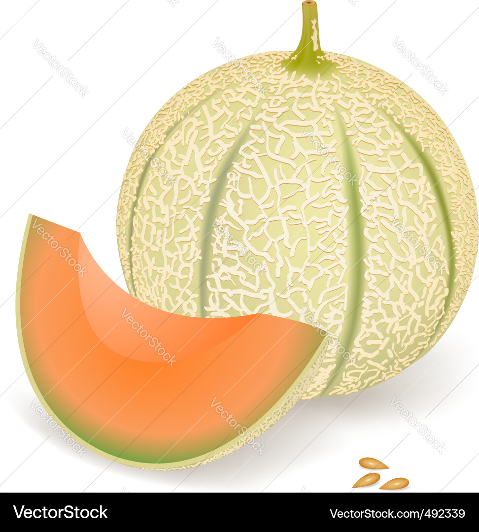 Melon Vector Images (over 27,000)