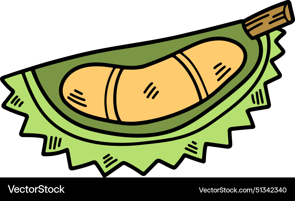 Hand drawn delicious durian in line style Vector Image