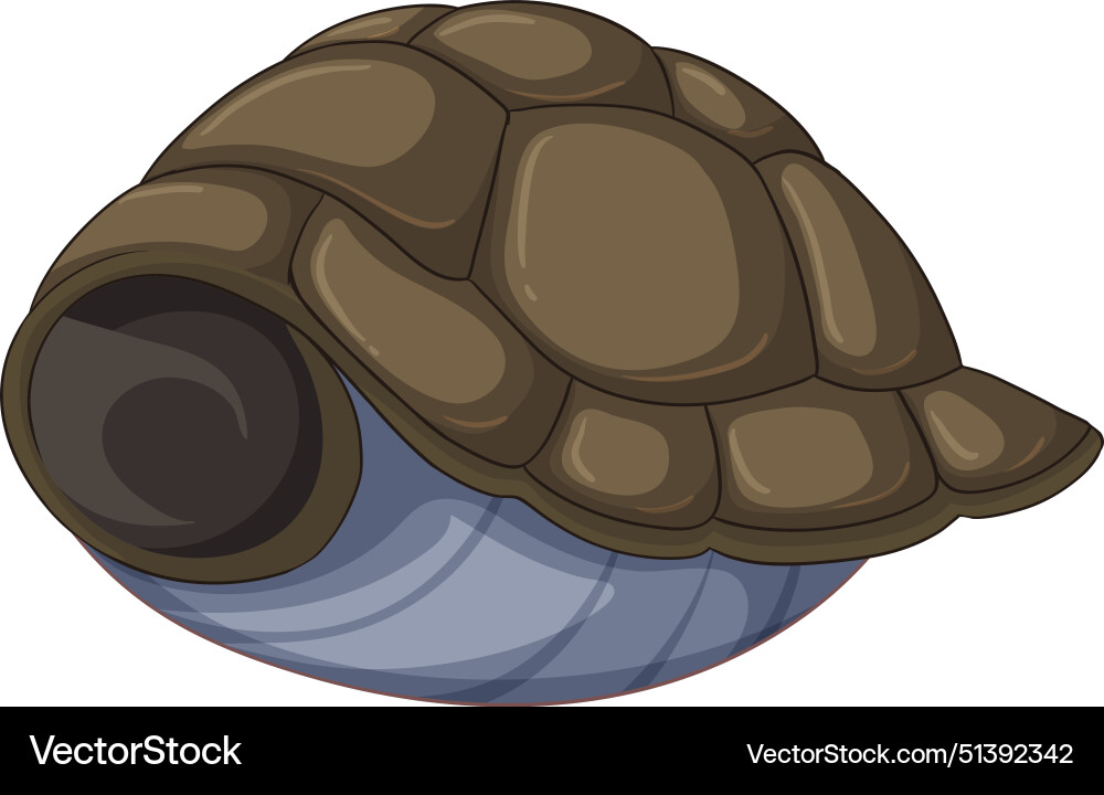 Detailed of a turtle shell Royalty Free Vector Image